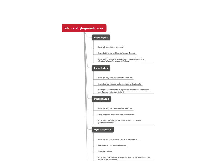 Plants Phylogenetic Tree - Mind Map